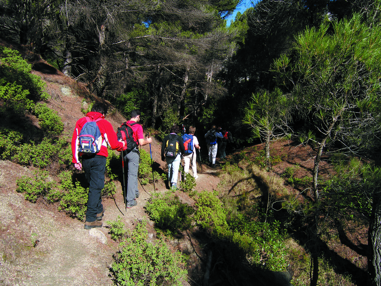 ΠΕΝΤΕ ΟΡΕΙΝΟΙ ΠΡΟΟΡΙΣΜΟΙ ΚΟΝΤΑ ΣΤΗΝ ΑΘΗΝΑ ΓΙΑ ΧΕΙΜΕΡΙΝΗ ΠΕΖΟΠΟΡΙΑ ...